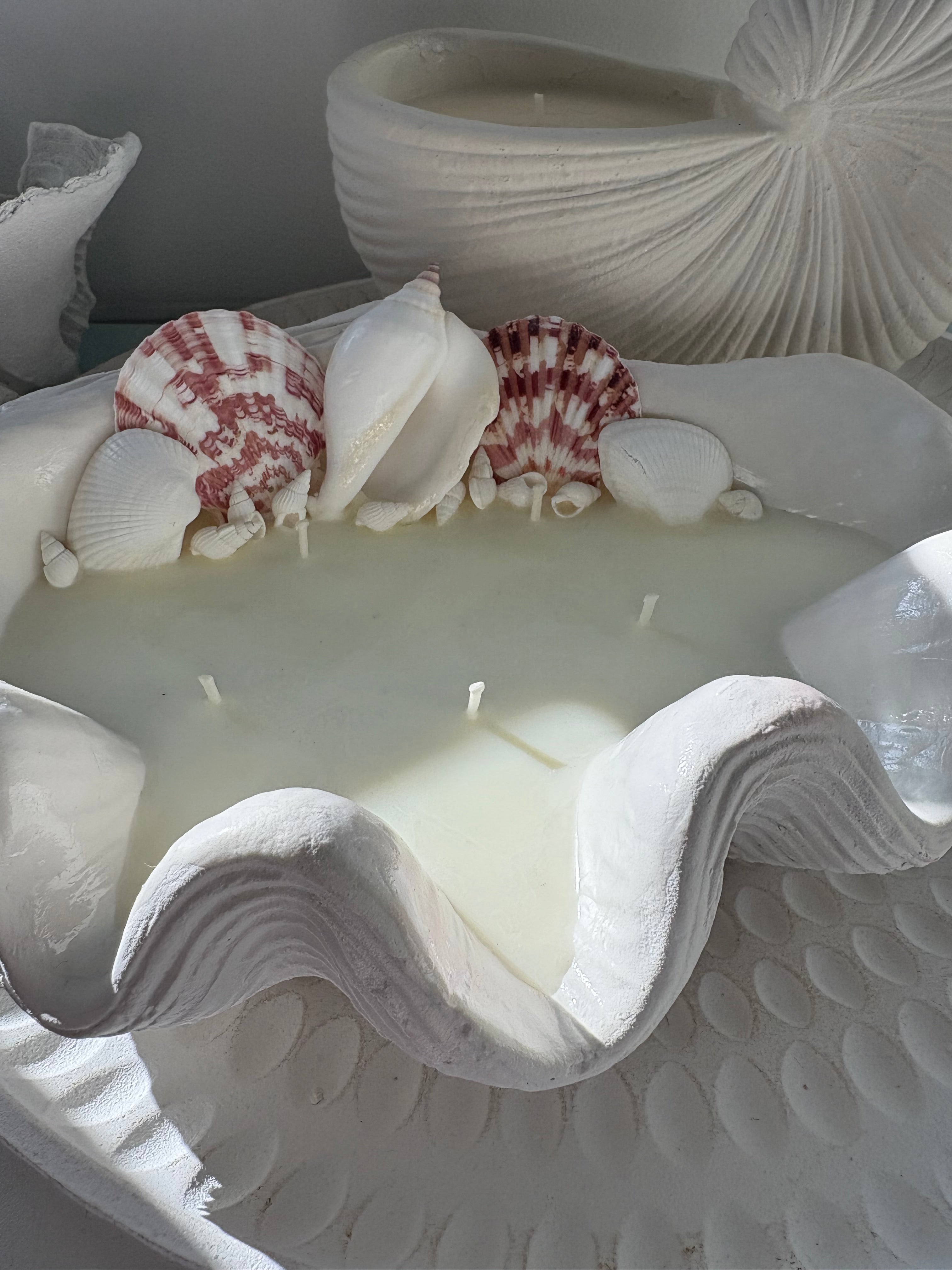 Large Clam Shell Candle (Decorated) – Balmain Balm
